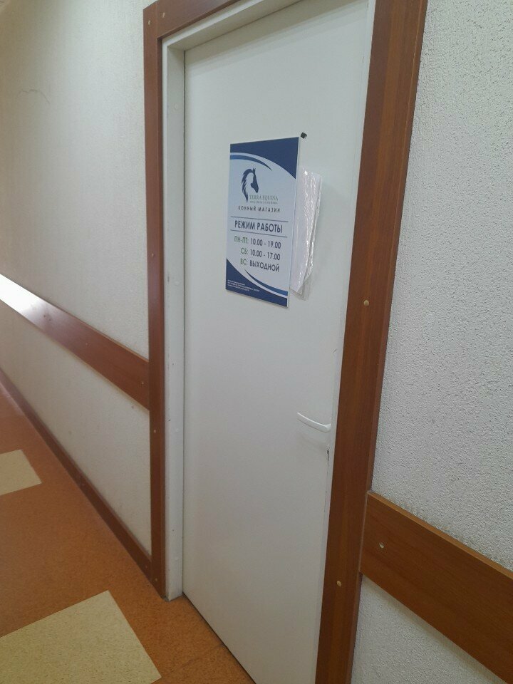 Yönetim ofisi Terra equina, Syktivkar, foto