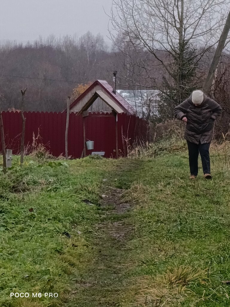 Pınar, çay Spring, stream, Vologodskaya oblastı, foto