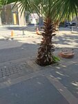 Bun Design (Adana, Seyhan, Kurtuluş Mah., Şinasi Efendi Cad.), hediyelik eşya mağazaları  Adana'dan