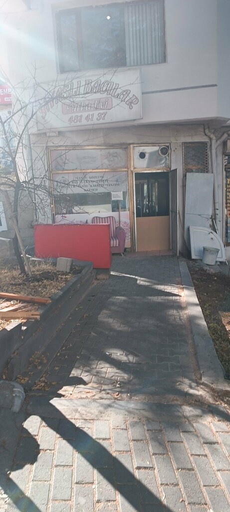 Gıda üreticileri Sivaslı Bacılar Yufka Evi, Ankara, foto