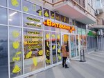 Vitaminka (ulitsa Krasina No:53, territoriya Tsemdolina), manavlar  Novorossiysk'ten