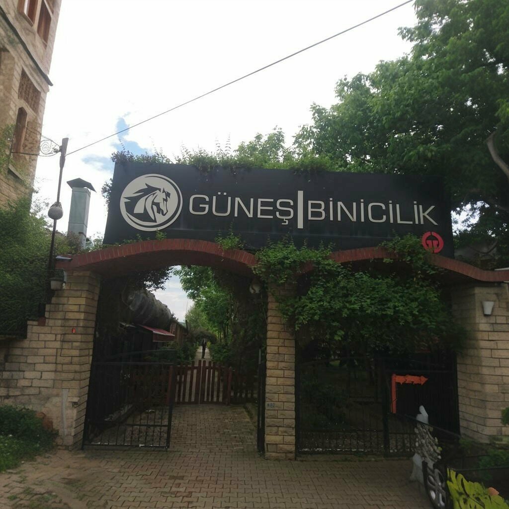 At ve binicilik kulüpleri Güneş Binicilik, İstanbul, foto
