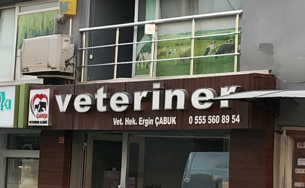 Veteriner klinikleri Çarşı Veteriner Kliniği, Saruhanlı, foto
