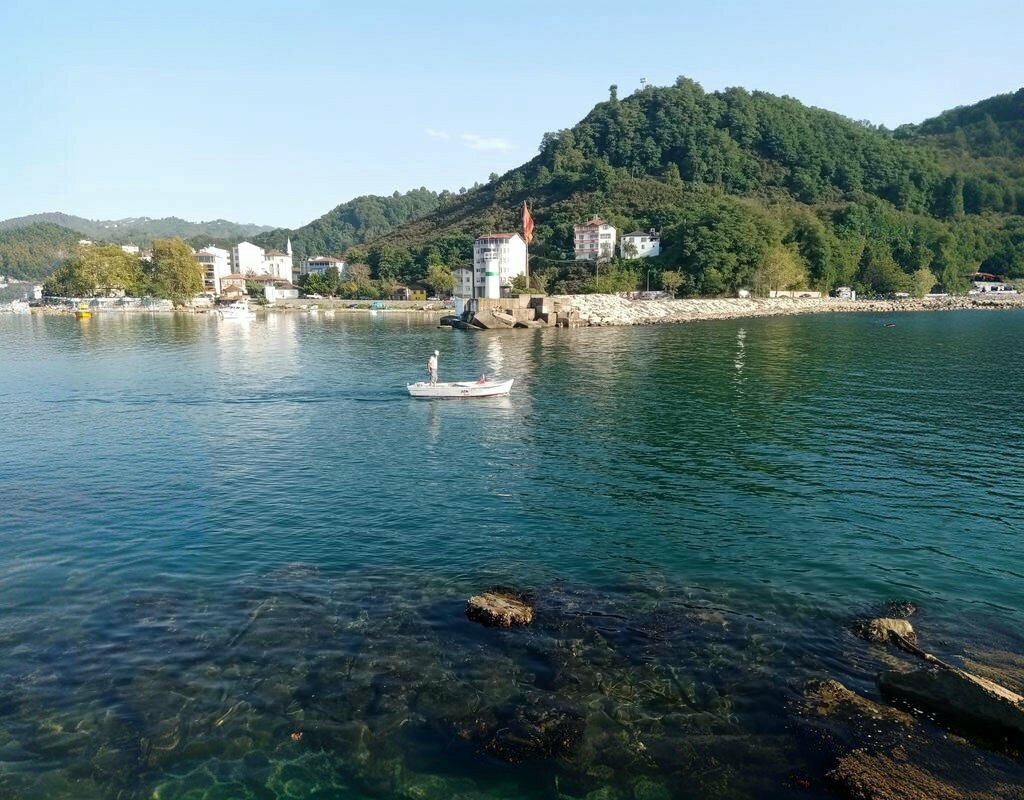 Kafe Park Cafe Yaliköy Sahil, Fatsa, foto