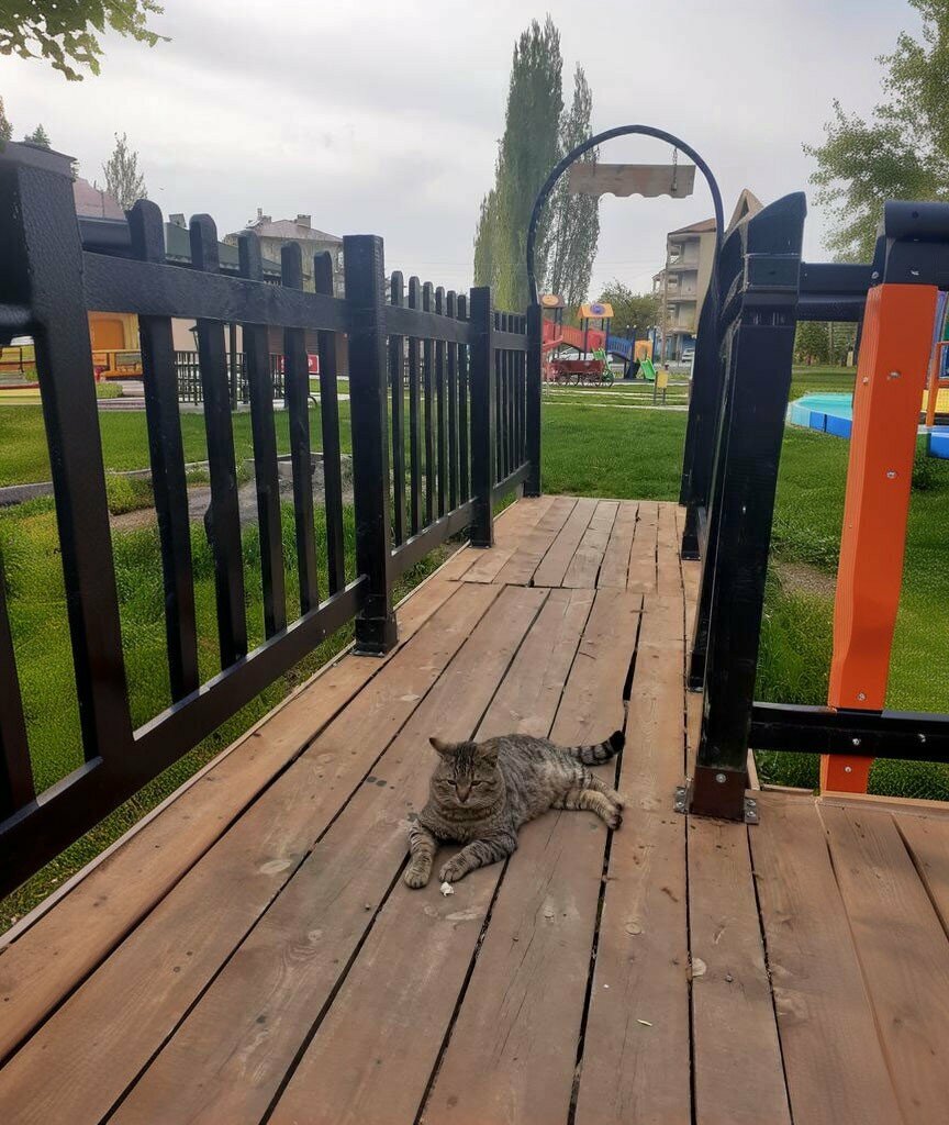 Kültür ve eğlence parkları Sızır Galip Ulutaş Mesire Alanı, Gemerek, foto