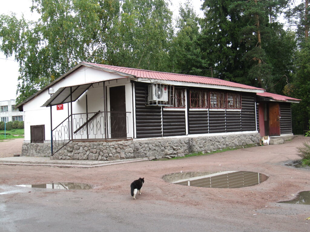 Market Курочка Ряба, Vyborg, foto