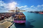 Mugiwara Logistics (Zhumaliev Street No:86), deniz taşımacılığı  Almatı'dan