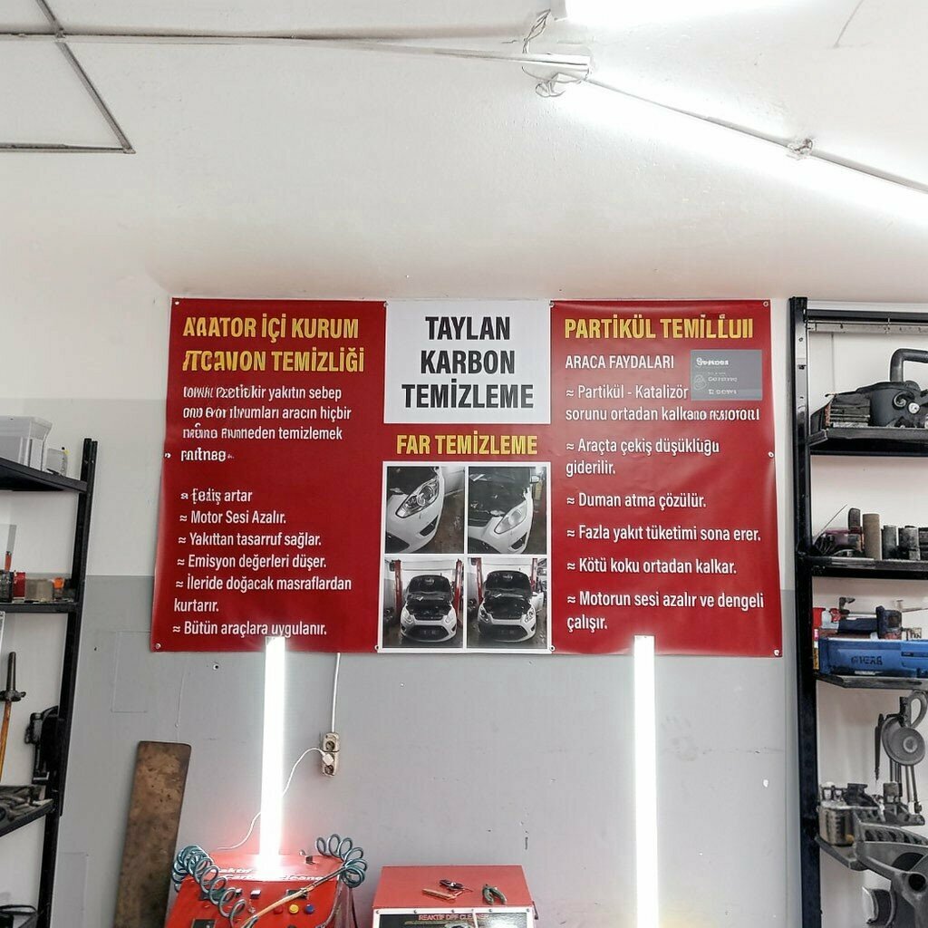 Otomobil servisi Taylan carbon clean İzmir, İzmir, foto