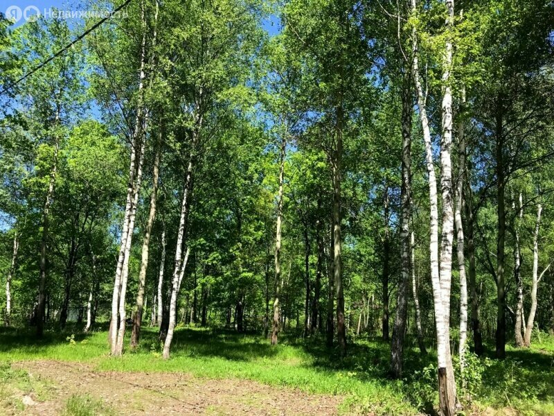 Yazlık yerleşim Ignatevskie Dachi, Moskova ve Moskovskaya oblastı, foto