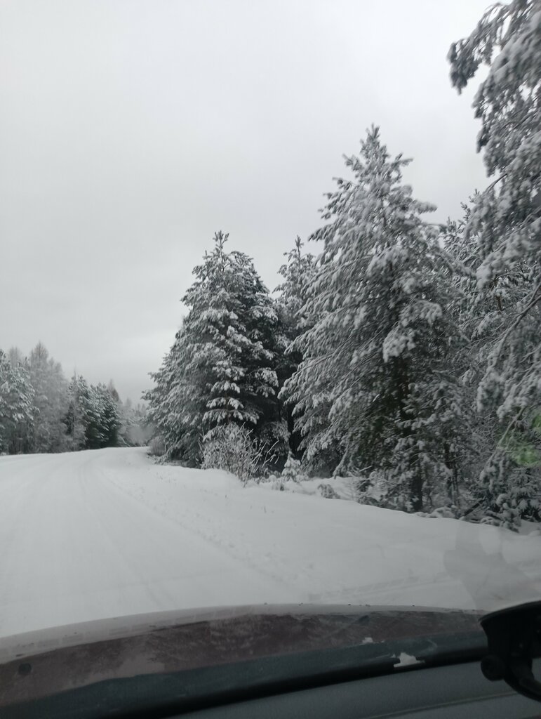 Dağ zirvesi Высота 198 метров, Smolenskaya oblastı, foto