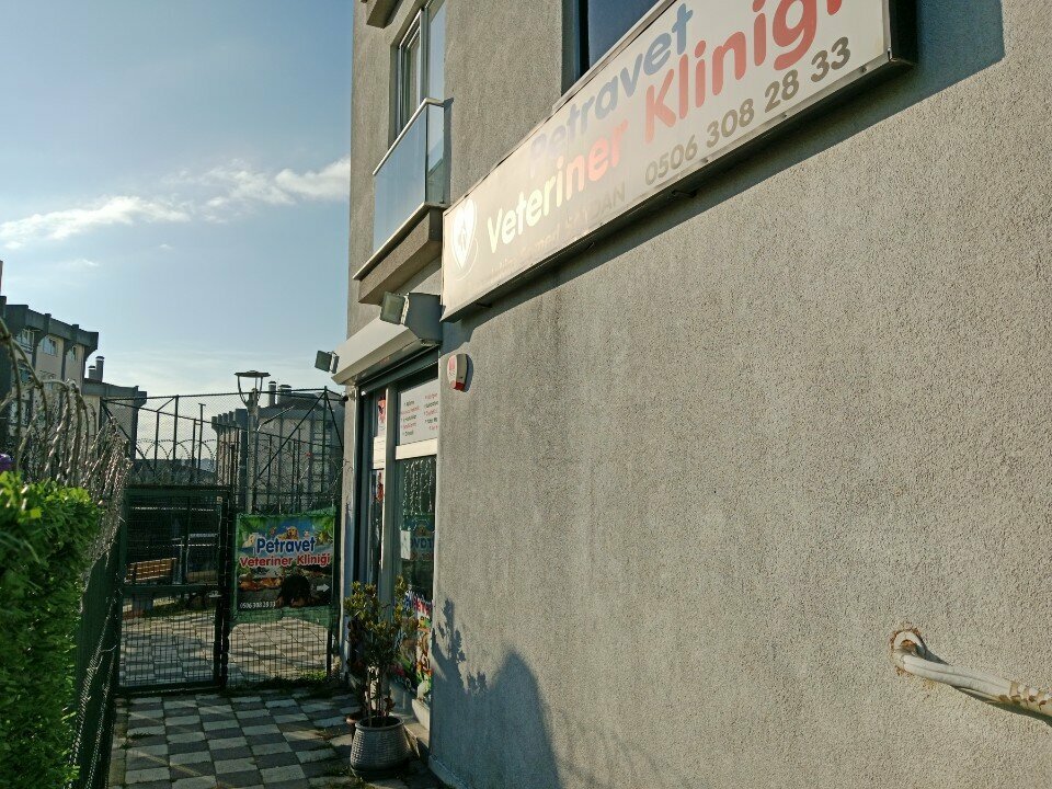 Veteriner klinikleri Petravet Veteriner Kliniği, Arnavutköy, foto