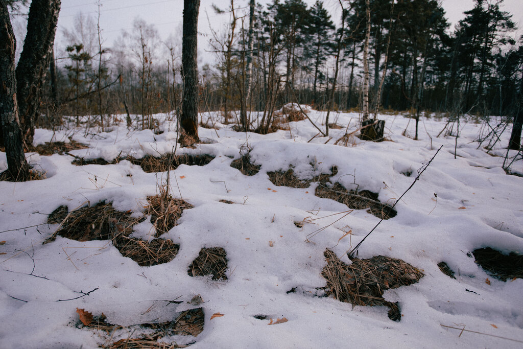 Anıt, heykel Братская могила воинов РККА, Smolenskaya oblastı, foto