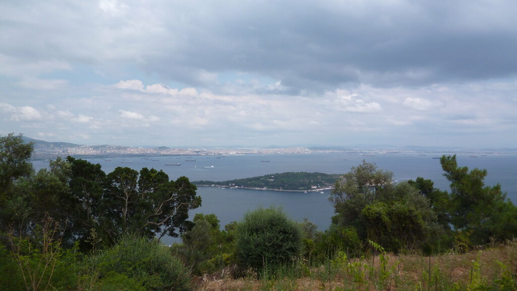 i̇skele Club Ada İskelesi, Dünya, foto