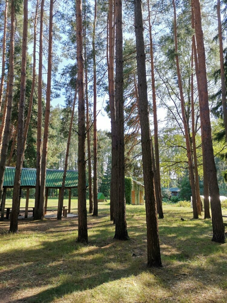 Resort oteller, tesisler GammaSoft, Tverskaya oblastı, foto