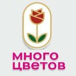 Mnogo Tsvetov (No:1, derevnya Skotnoye), çiçekçiler  Saint‑Petersburg ve Leningradskaya oblastından