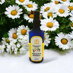Herbişi Bitki Atölyesi (Ulupınar Mah., Çıralı Yolu, No:92, Kemer, Antalya), besin takviyesi, aktariye  Kemer'den