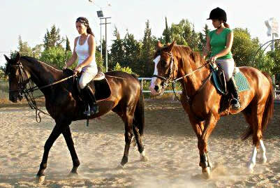 At ve binicilik kulüpleri Ahal Teke Pony Kulüp & Binicilik Okulu, Ankara, foto