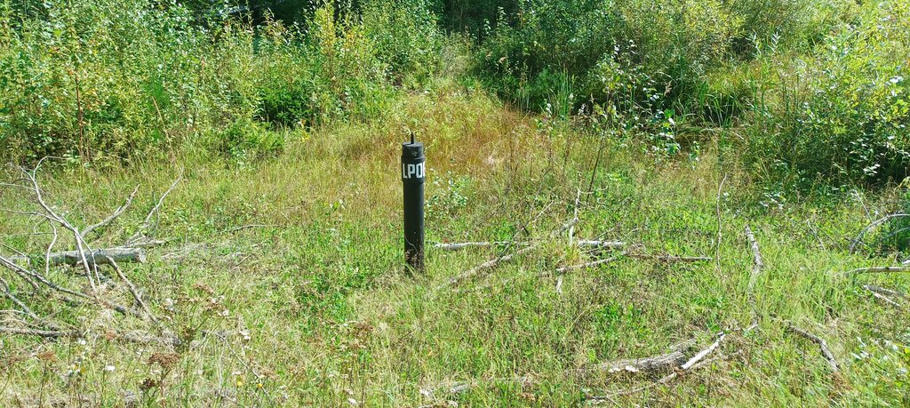 Piknik alanı Место для пикника, Krasnoyarski krayı, foto