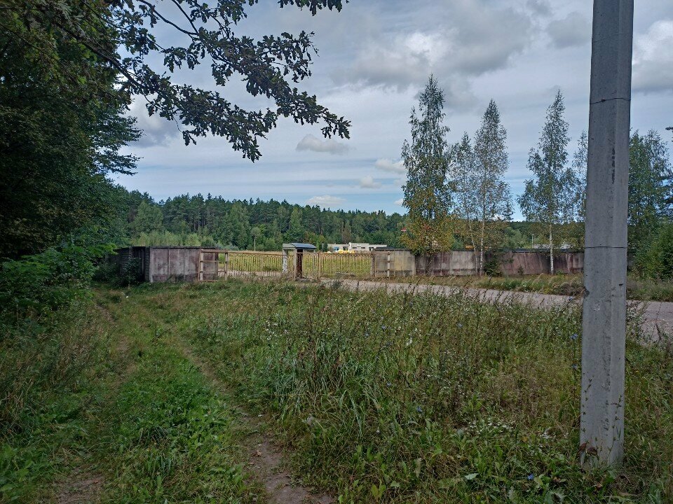 Ahşap endüstrisi Экогран-пром плюс, Bobruisk, foto
