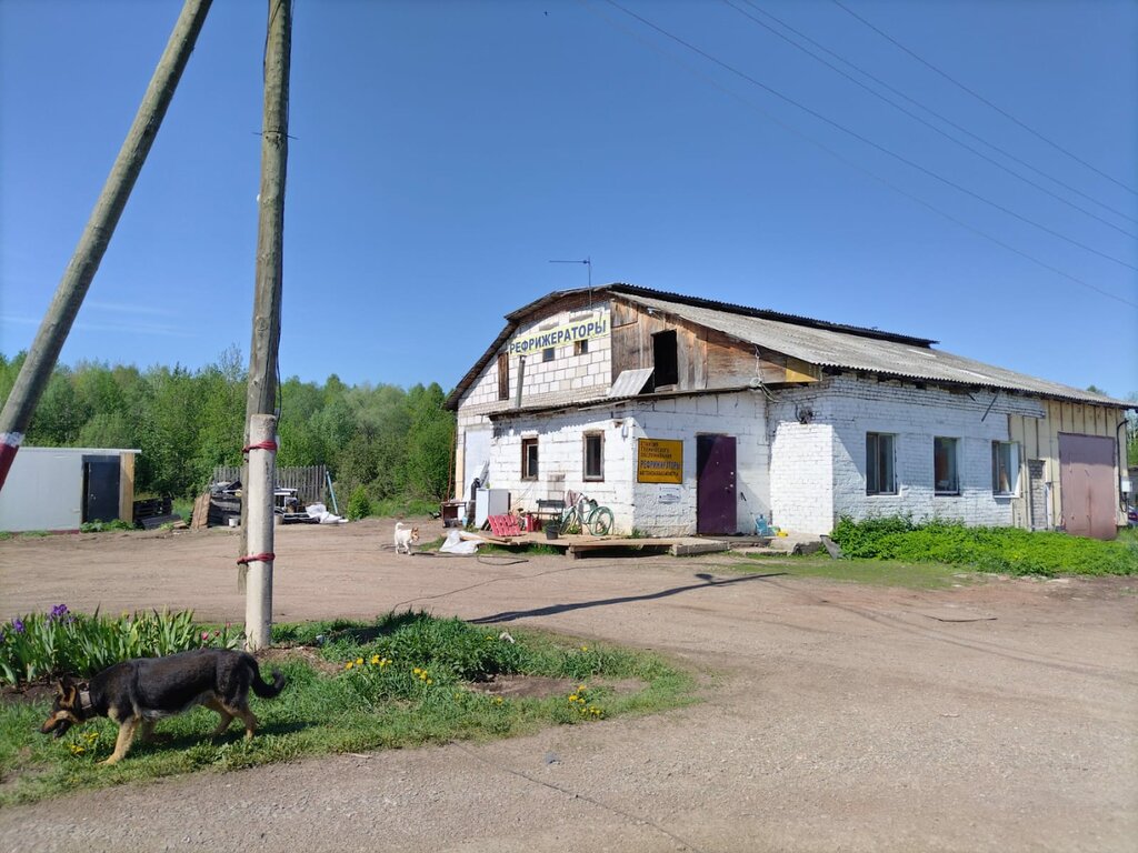 Araba klimalarının yakıt ikmali Ref-159, Krasnokamsk, foto