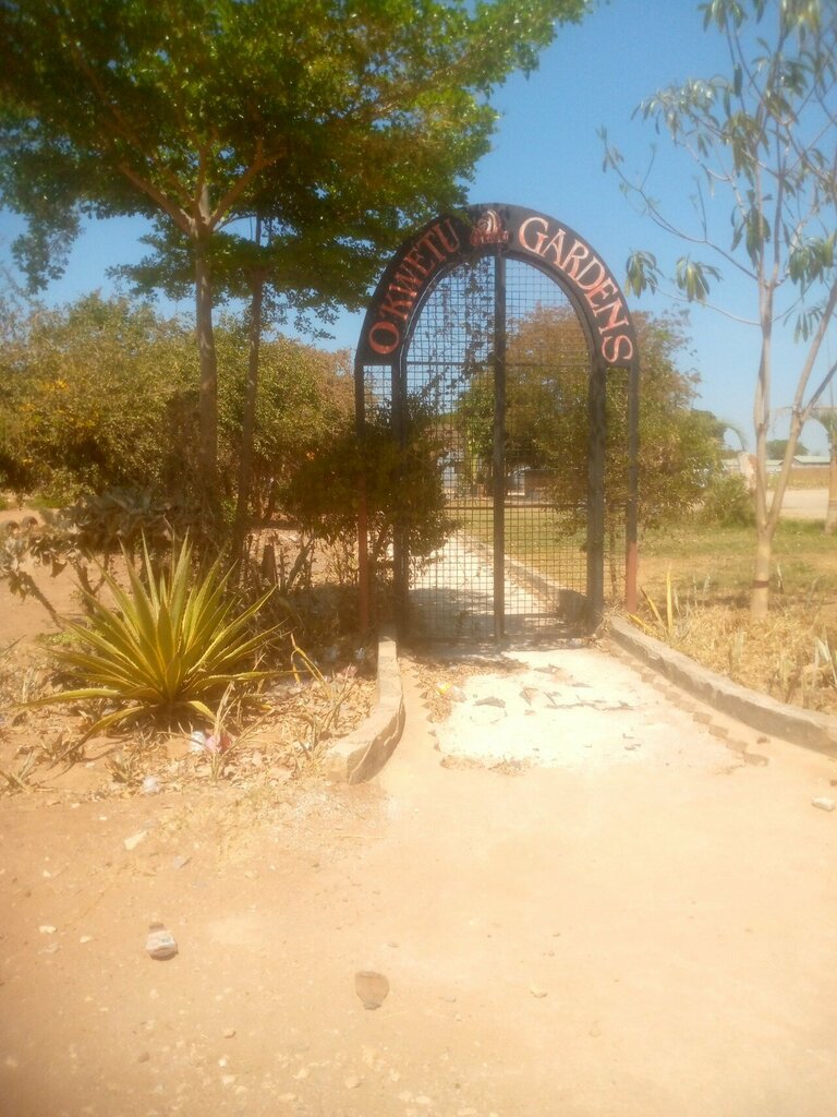 Bar O'kwetu gardens, Lusaka, foto