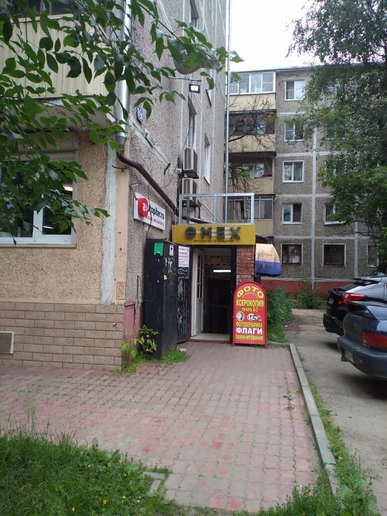 Fotoğraf hizmetleri Арт-Интеллика, Podolsk, foto