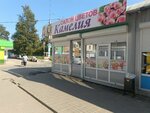 Камелия (40-letiya Oktyabrya Street No:15/20), çiçekçiler  Ulyanovsk'tan
