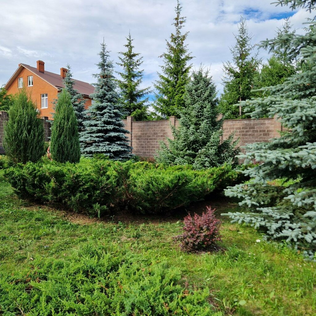 Bahçe bakımı Mesto sili, Moskova ve Moskovskaya oblastı, foto