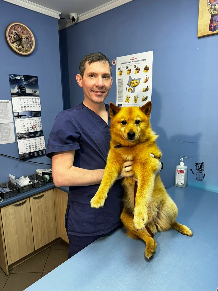 Veteriner klinikleri Добрый ветеринар, Ulyanovsk, foto