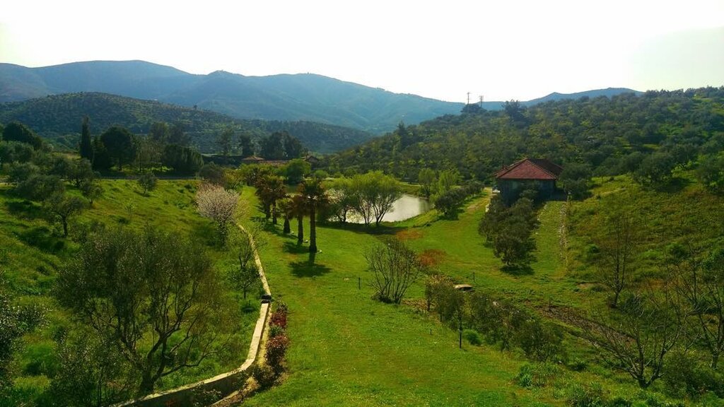 Gıda üreticileri Ab-U Hayat, Selçuk, foto