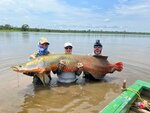 Arapaima Bolivia (Santa Cruz de la Sierra, Distrito Municipal 1, Subdistrito 54, Luquillas 11), avcılar ve balıkçılar  Santa‑Krus'tan