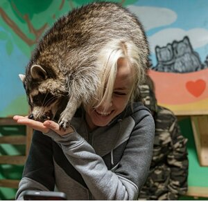 Enotsburg (Konyaeva Street No:25/2, Dyagilevo District, Ryazan), eğlence merkezleri  Riazan'dan