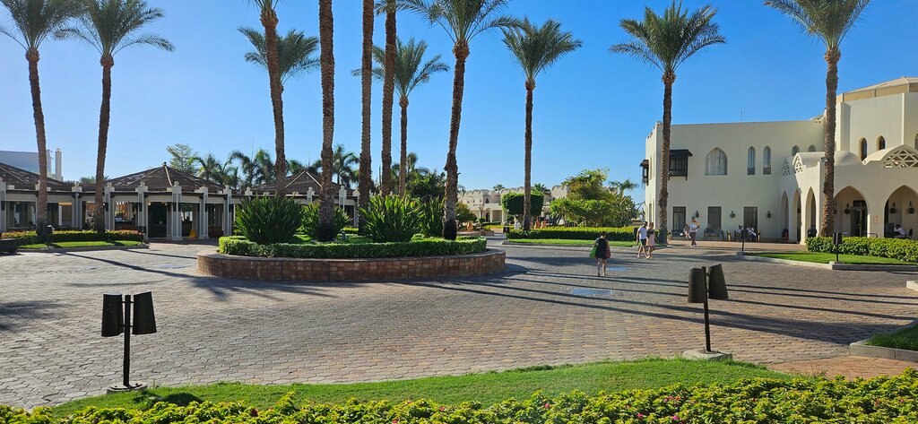 Toplu taşıma durağı Public transport stop, Şarm El‑Şeyh, foto