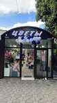 Lizi Flowers (Demokratichnaya Street No:23А), çiçekçiler  Soçi'den