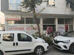 Hürriyet Veteriner Muayenehanesi (Bursa, Osmangazi, Hürriyet Mah., Osmanpaşa Cad., 9), veteriner klinikleri  Bursa'dan