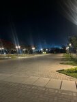 Show Ground Main Arena (Lusaka, Show Grounds), stadyum  Lusaka'dan