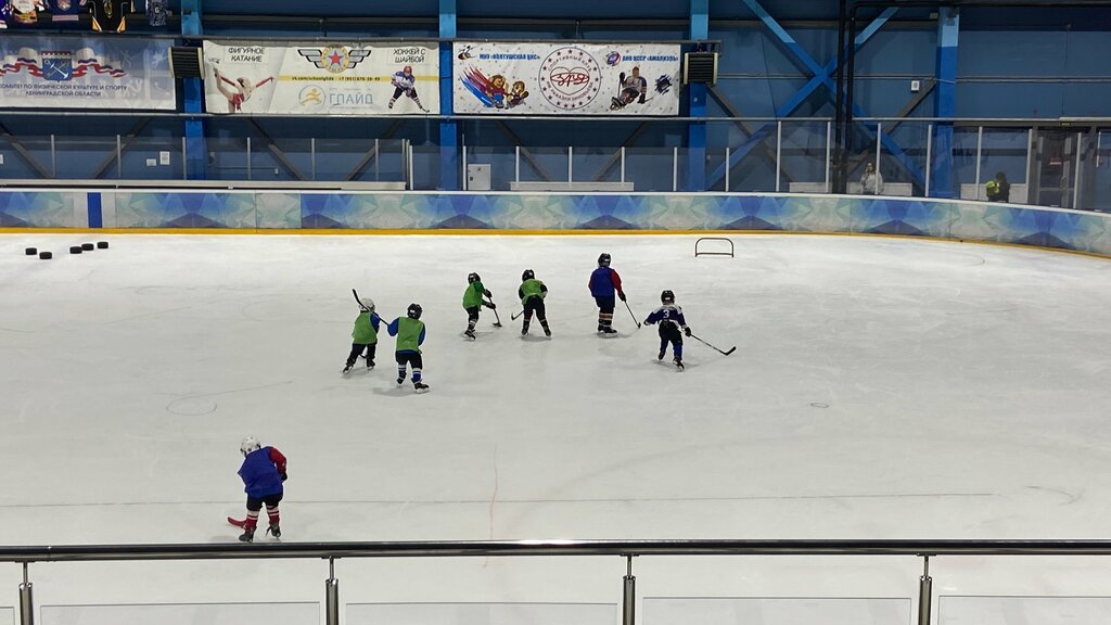 Spor kulüpleri Балтийские крылья, Saint‑Petersburg ve Leningradskaya oblastı, foto