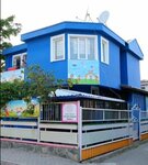 Özel Mavi Yunuslar Anaokulu (Altınşehir Mah., 233. Sok., No:70, Nilüfer, Bursa), anaokulları  Bursa'dan