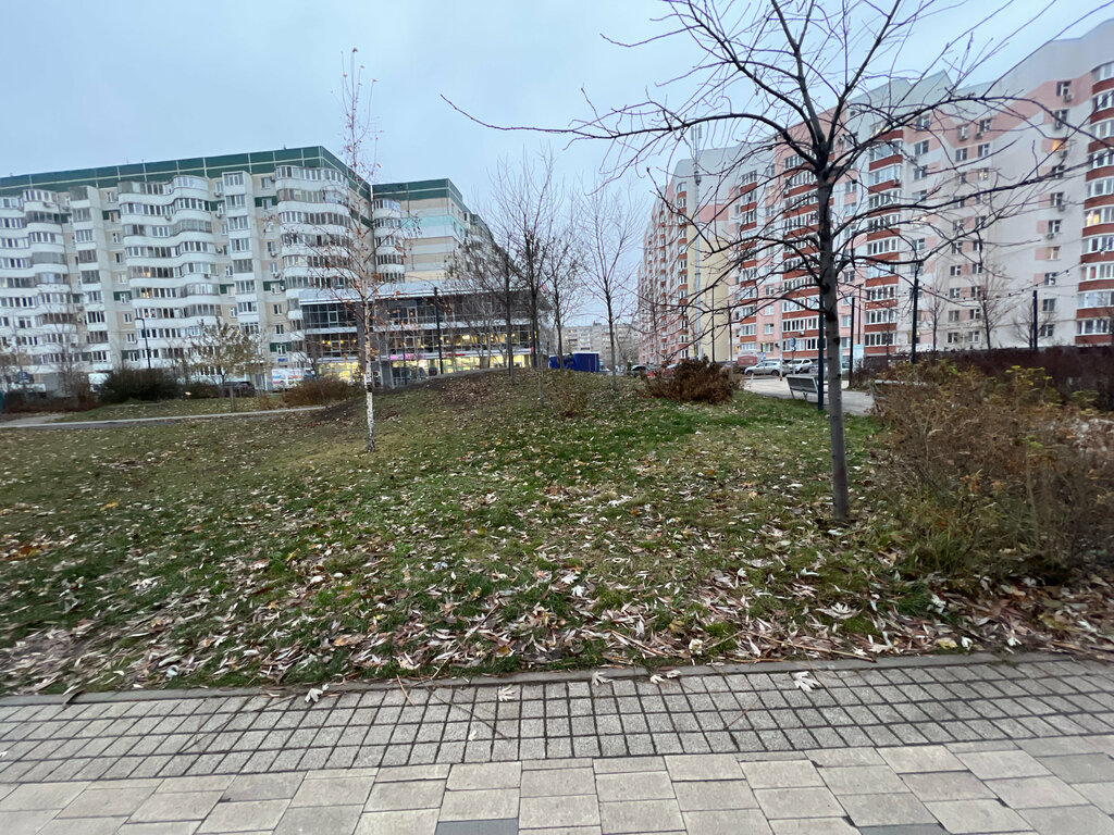Köpek gezdirme alanları Собачья площадка, Kazan, foto