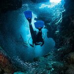 Karaburun Dalış Merkezi (İzmir, Karaburun, Bodrum Cad., 100), dalış kulüpleri ve eğitim merkezleri  Karaburun'dan