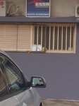 Enza (Luanda, Rua de José de Oliveira Barbosa), sigorta şirketleri  Loanda'dan