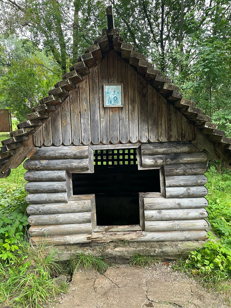 Pınar, çay Spring, stream, Pskovskaya oblastı, foto