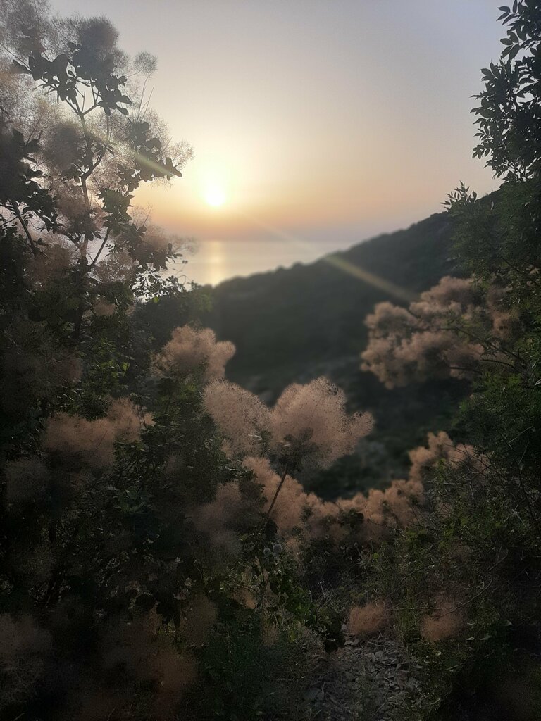 Konuk evi Guest house on Utrishskaya 103, Krasnodarski krayı, foto