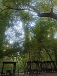 Верёвочный парк (Orenburg Region, Novotroitsk), i̇pli oyun park  Novotroitsk'ten