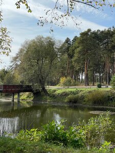 парк Красные Сосенки (Ivanovo Region, Teykovo, park Krasnyye Sosenki), kültür ve eğlence parkları  Teykovo'dan