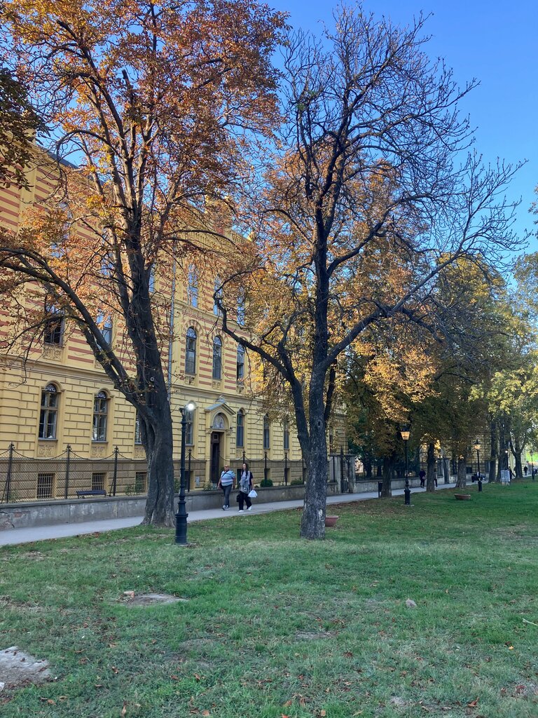 i̇mam hatip eğitim kurumları Богословски Семинар, Güney Backa İlçesi, foto