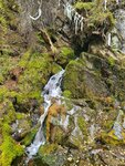 Spring, stream (Republic of Altai, Ulaganskiy rayon, R-256 Chuyskiy trakt, 799-y kilometr), pınar, çay  Altay Cumhuriyeti'nden