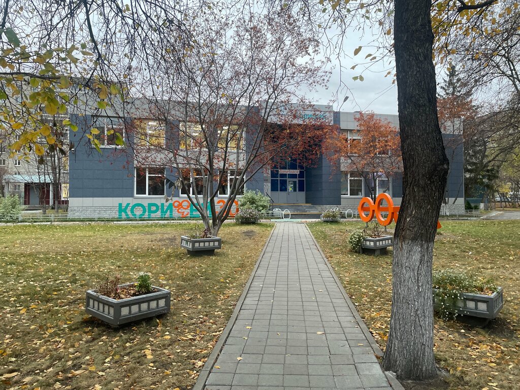 Fen lisesi, sosyal bilimler lisesi MAOU Gymnasium № 210 Korifey, Yekaterinburg, foto