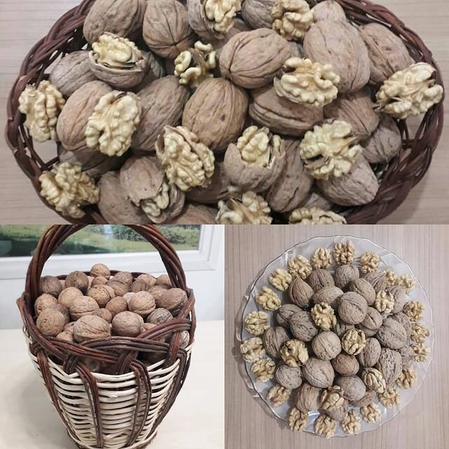 Kuruyemiş, atıştırmalık, kuru meyve Msn Gıda, İstanbul, foto