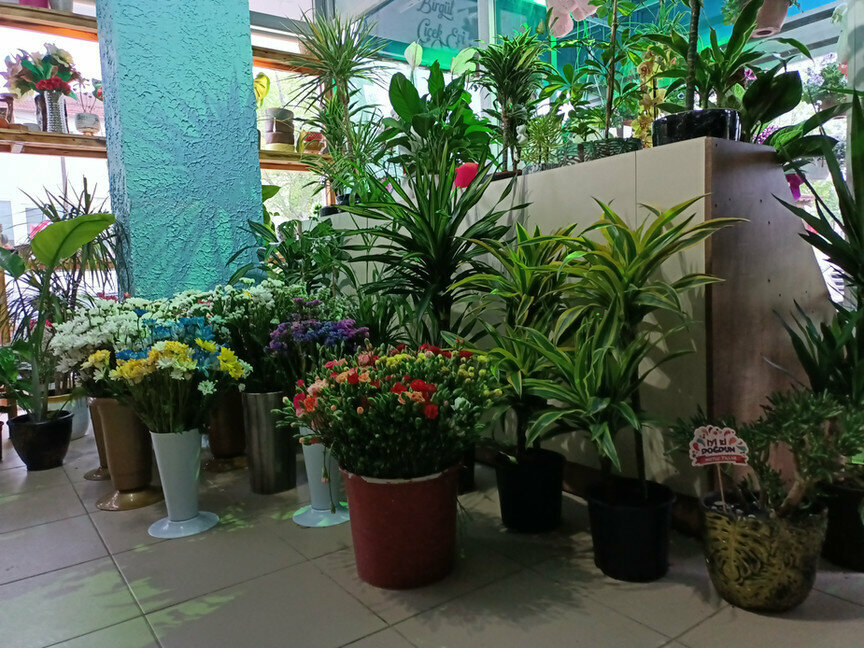 Çiçekçiler Birgül Botanik, Kartepe, foto